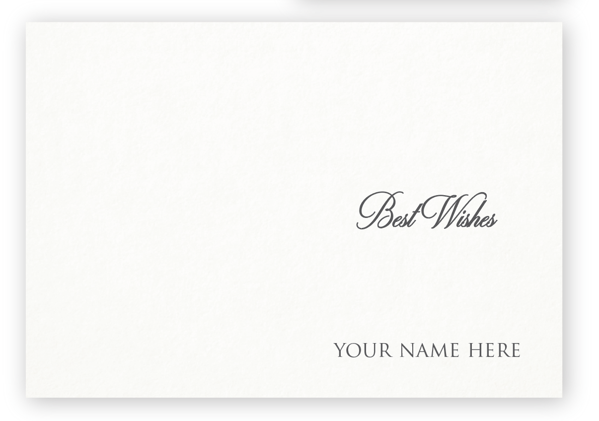 Oasis Box Set| Stationery Box Set – Dots and Doodles Design