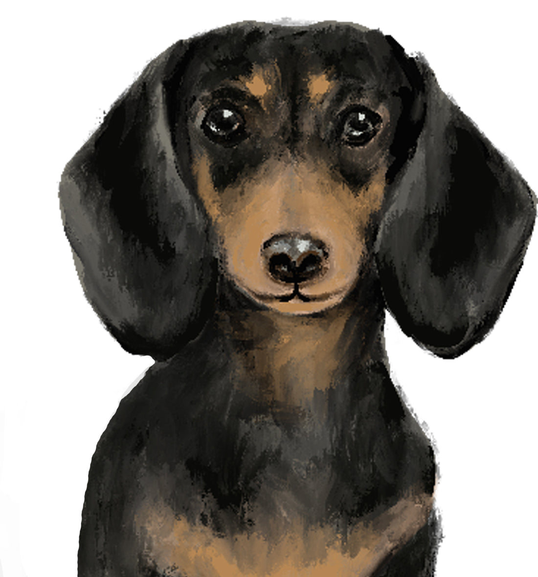 Pooch Collection – Dots and Doodles Design